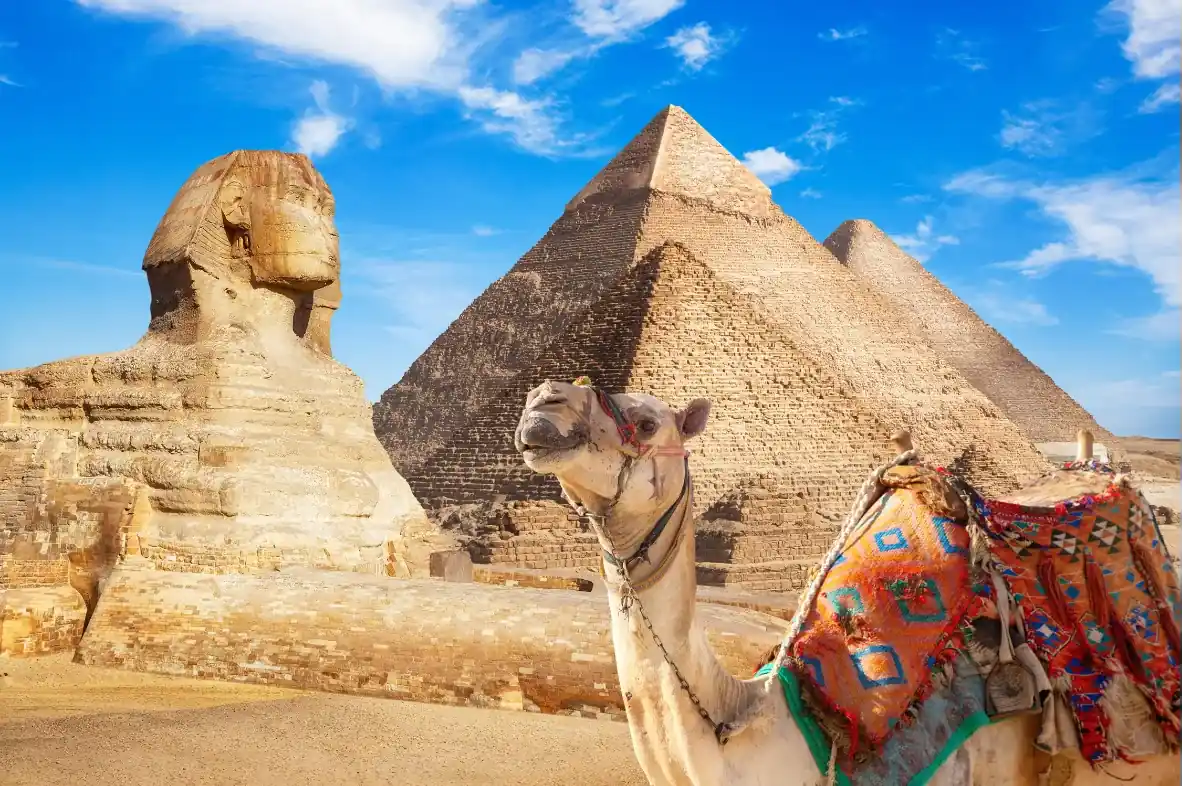 Cash and ATMs in Egypt: Ultimate Guide on fees, limits, cards