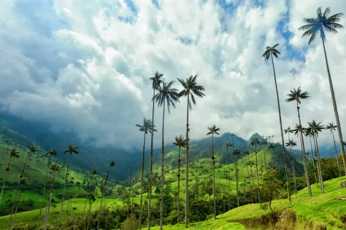 ATMs in Colombia: Fees, limits & info for Colombia travel